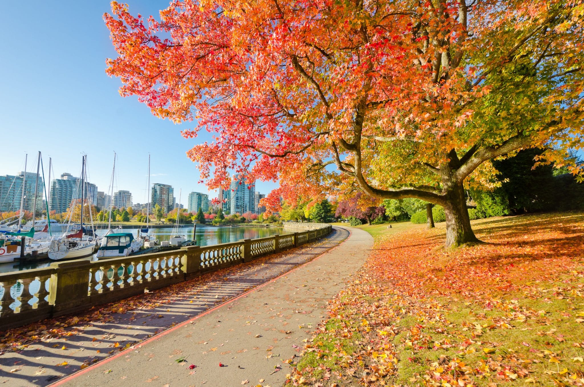 7 endroits magiques pour observer les couleurs d’automne au Canada ...