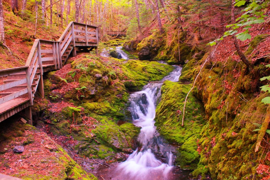 7 magical places to catch Canada’s fall colours | belairdirect blog